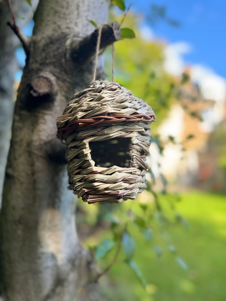 Handmade hut weave rattan birdhouse 14 x 14 x 17cm | Marissa's Garden ...